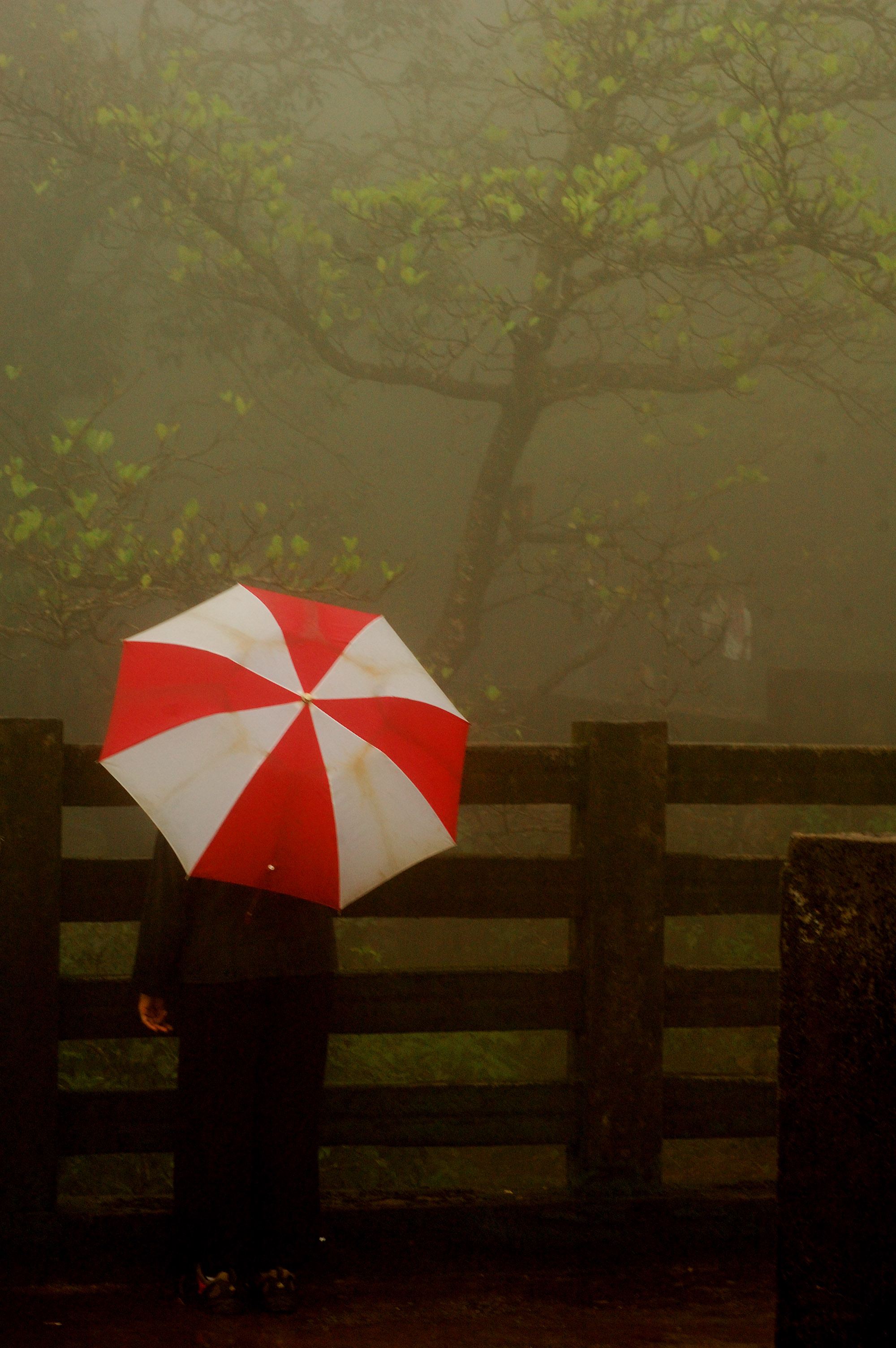 What makes you feel alive? First rain! – Just A Little Something